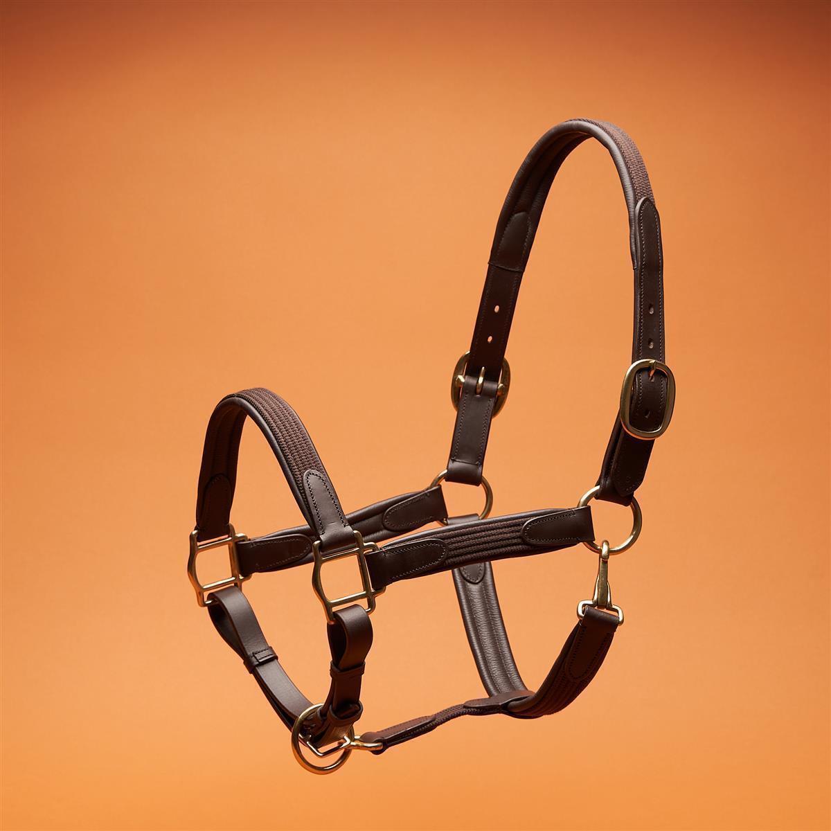 Horsecode Halfter brown gold WB