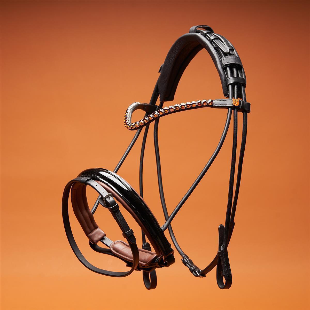 Horsecode Dream Forest warmblut