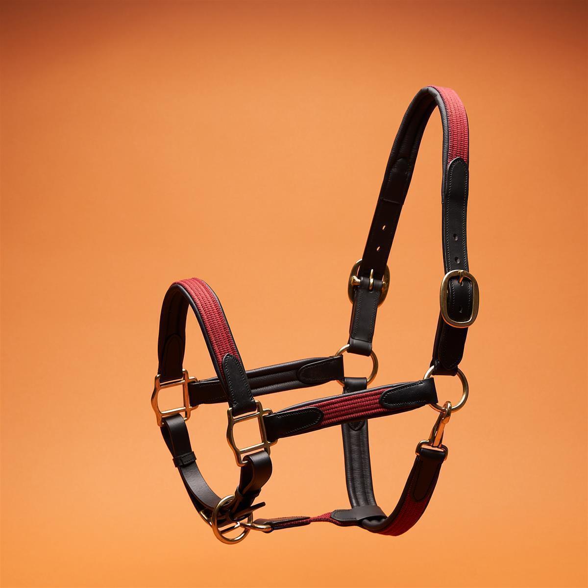 Horsecode Halfter Burgundy gold VB